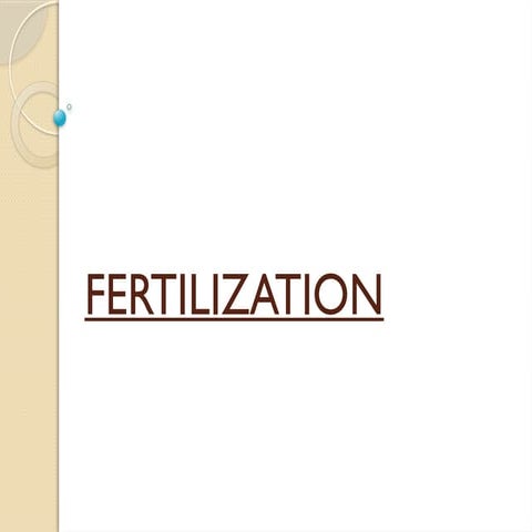 Fertilization.pptxbvvbvvvvvvvvvvvvvvvvvv | PPTX