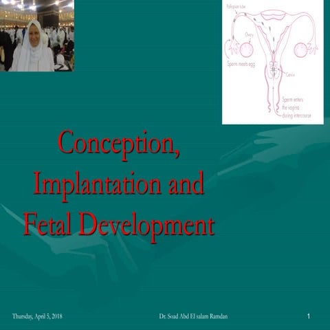 Fertilization conception fetal development | PDF