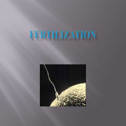 Fertilizationnotes 140122140506 Phpapp02 Pptx