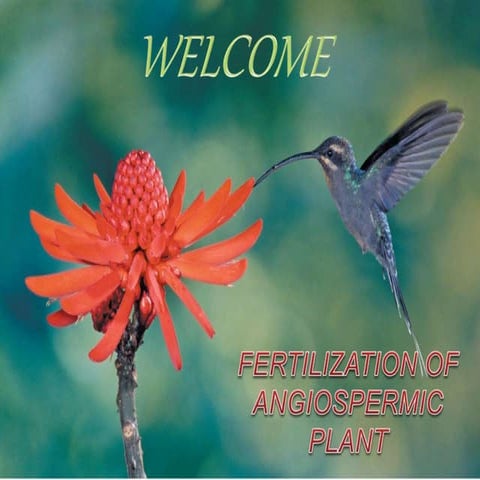 Reproduction in Cycas | PPTX