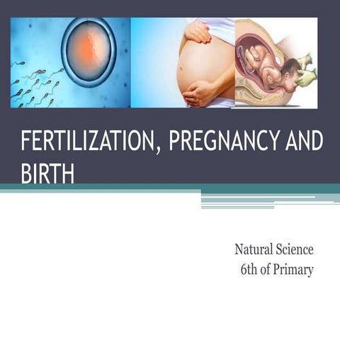 Fertilization, pregnancy and birth | PPTX