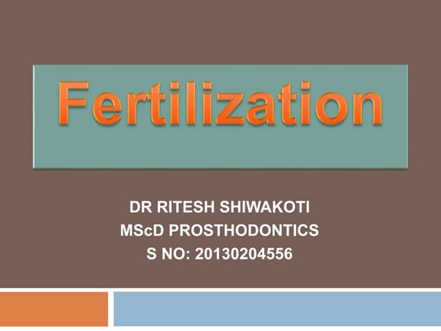 Fertilization in sea urchin | PPTX