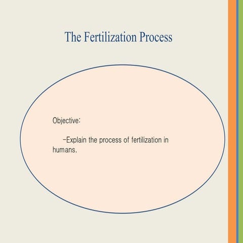 Fertilization process | PPTX