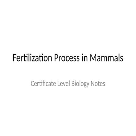 Fertilization_Process_in_Mammals.power point | PPTX