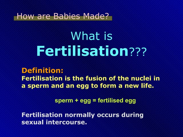 Fertilization notes | PPTX