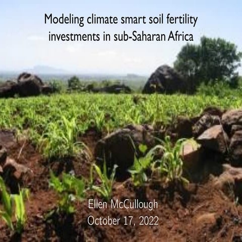 FertilizerProfitability - IFPRI Malawi (003).pdf