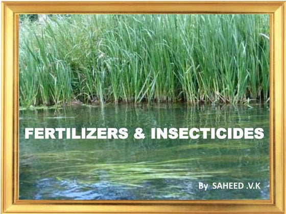Investigatory project on fertilizer | PDF