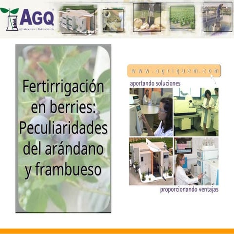 Fertirrigación en arándanos cl ago 06 (1).ppt