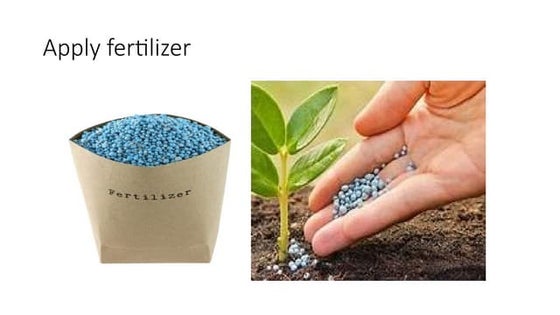 Methods of fertilizer application | PPT | Agriculture | Industries