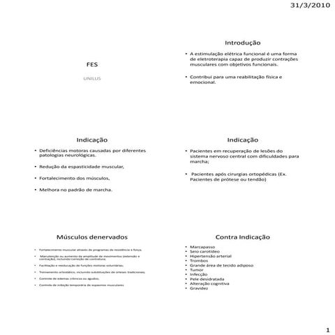 Fes | PDF