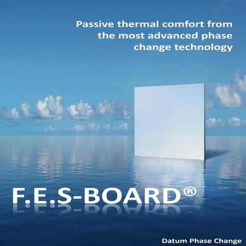 F.E.S-Board® Brochure | PDF