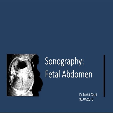 Fetal abdomen usg | PPTX