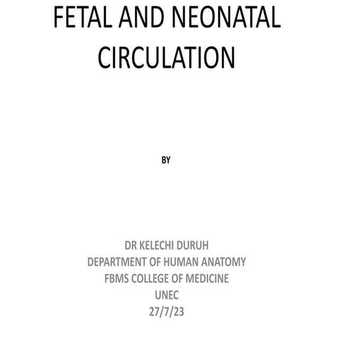FETAL AND NEONATAL CIRCULATION lecture.pptx