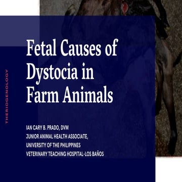 Fetal causes of dystocia in farm animals | PDF