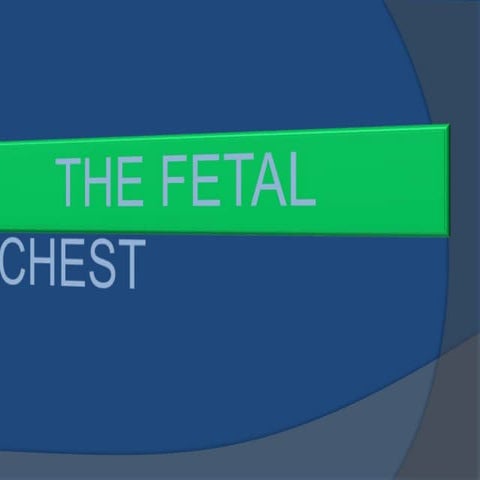 Fetal chest.pptx
