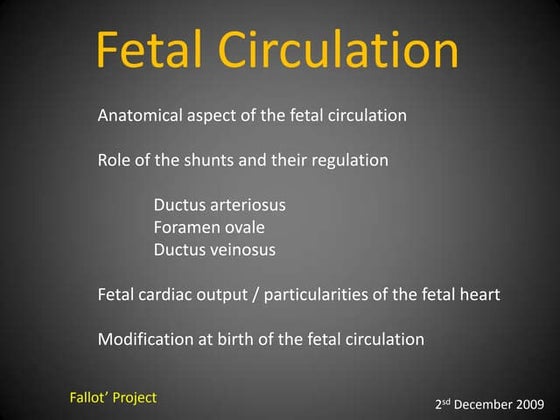 Fetal circulation nursing student_dey | PPTX