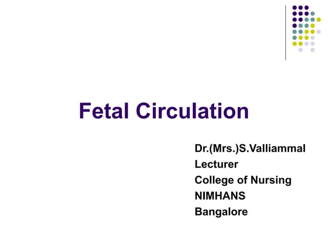 Fetal Circulation Pptx