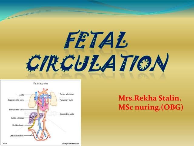 Fetal Circulation .pptx