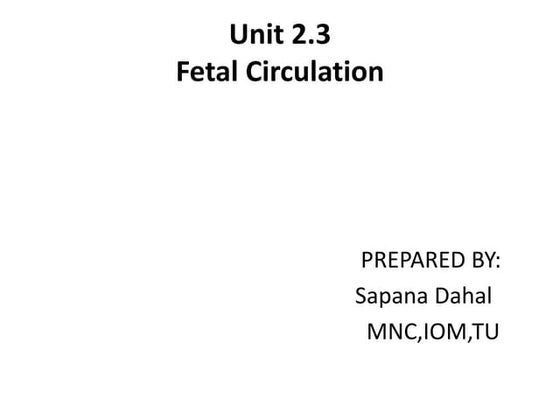 fetal-circulation-.pptx