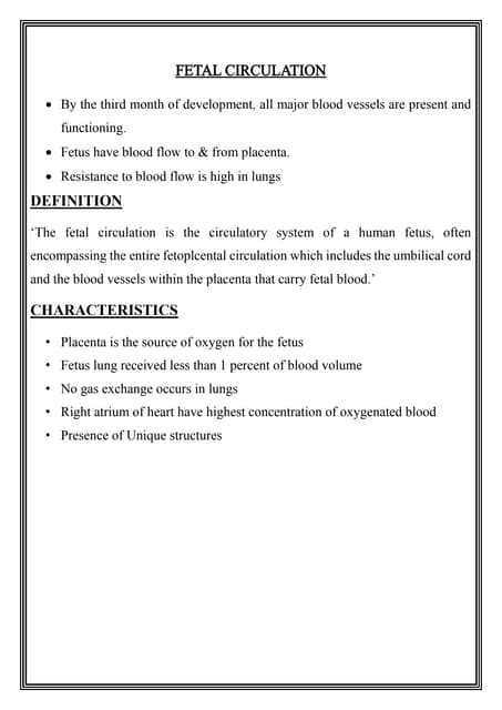 Fetal Circulation Pptx