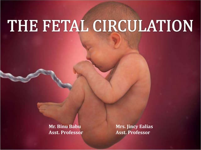 Fetal Circulation .pptx