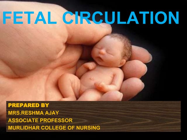 The fetal circulation | PPTX