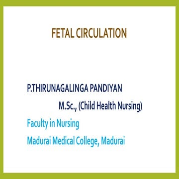Fetal Circulation Pptx