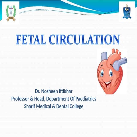 Fetal Circulation Pptx