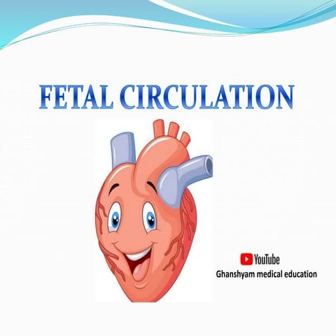 Fetal Circulation .pptx