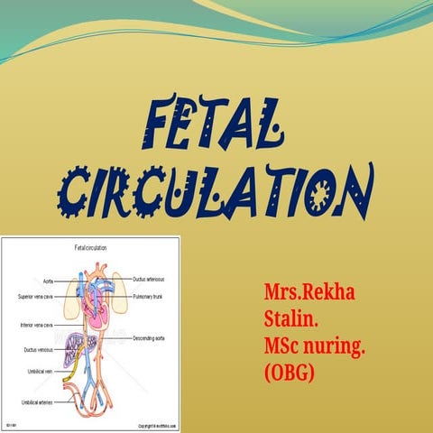 fetal circulation/ before birth-MALAMULO .pptx