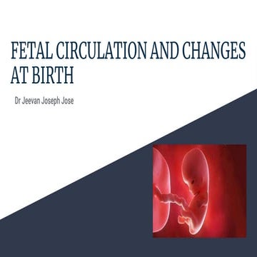 Fetal circulation | PPSX