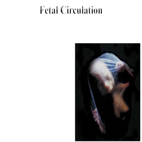 Fetal circulation and somitogenesis.pptx
