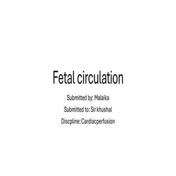 Fetal Circulation Pptx