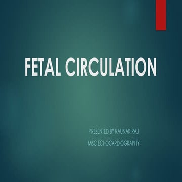 FETAL CIRCULATION AND IT'S FATE (Msc Echo 025).pptx