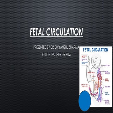 The Fetal. Circulation lectures .pptx