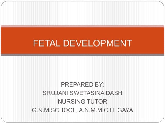 Stages of fetal growth and development | PPT