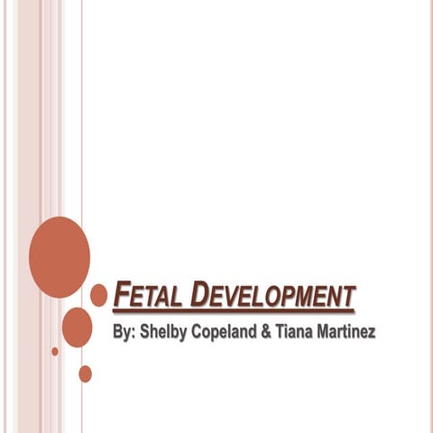 Fetal development | PPTX
