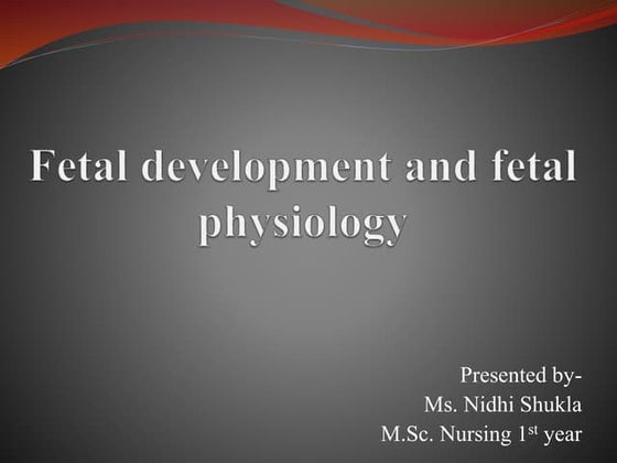 Fetal Development Ppt