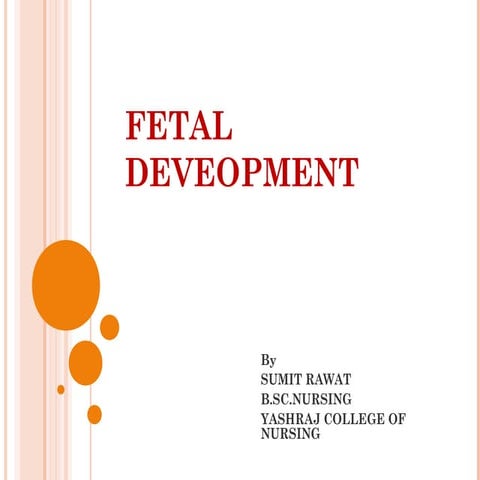 Fetal development | PPT | Pregnancy | Reproductive Health