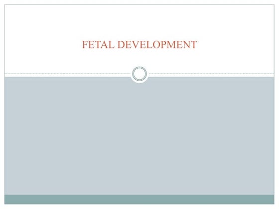 Fetal circulation | PPTX | Pregnancy | Reproductive Health