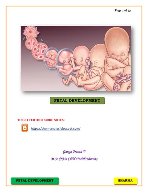 FORMATION OF EMBRYO and FETAL DEVELOPMENT.pdf | Pregnancy | Reproductive Health