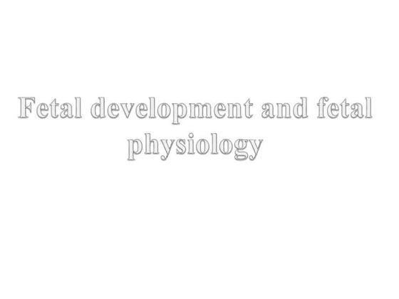 Fetal Development Ppt