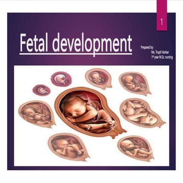 PPT on Embryological and fetal development | PPTX