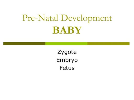Fetal development | PPT