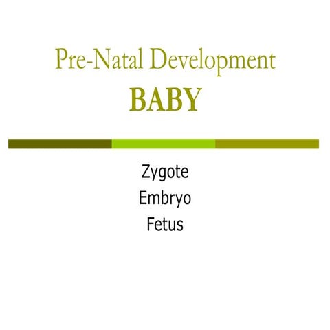 The fetal development | PPT