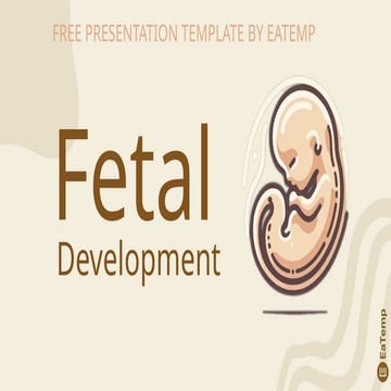 Fetal Development template for your presentation .pptx