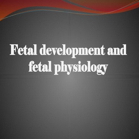 Fetaldevelopment Mbbs Powerpoint Ppt Free Pptx