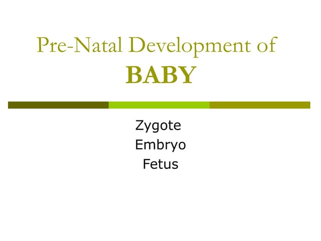 PPT on Embryological and fetal development | PPTX