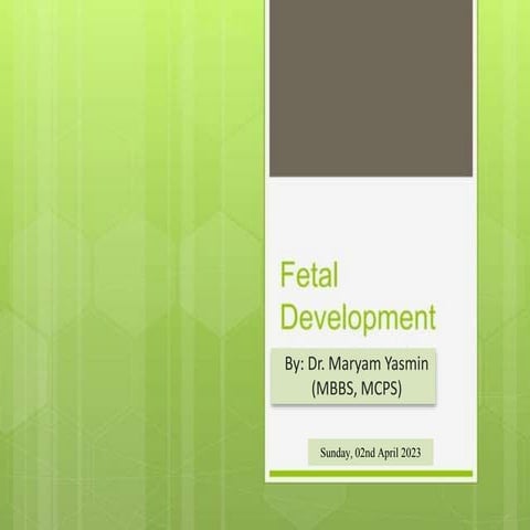 Fetal Development By Dr. Maryam Yasmin.pptx