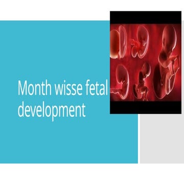 Human fetal development new teaching.pptx